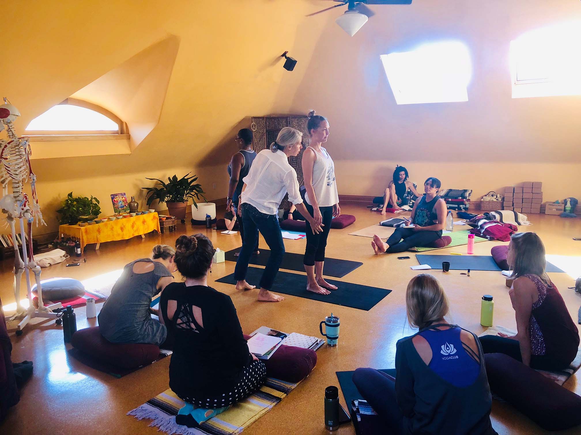 Anatomy Asana Yoga Course - World Peace Yoga Courses